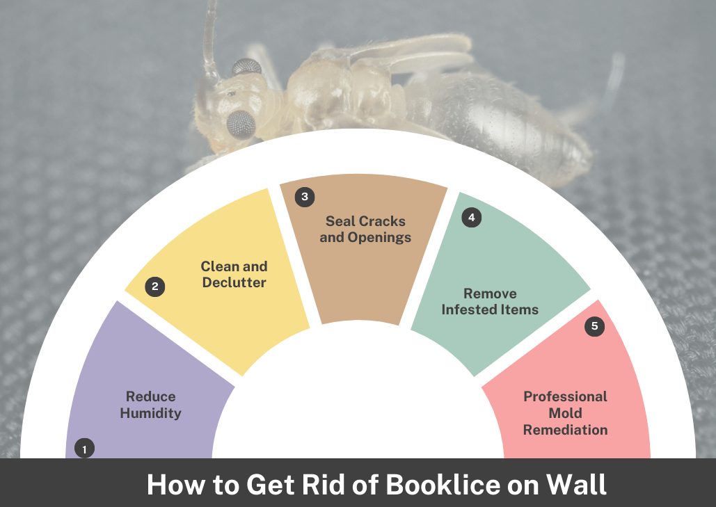 A Silent Connection: How Mold and Booklice Go Hand in Hand - LUMIAIR Singapore